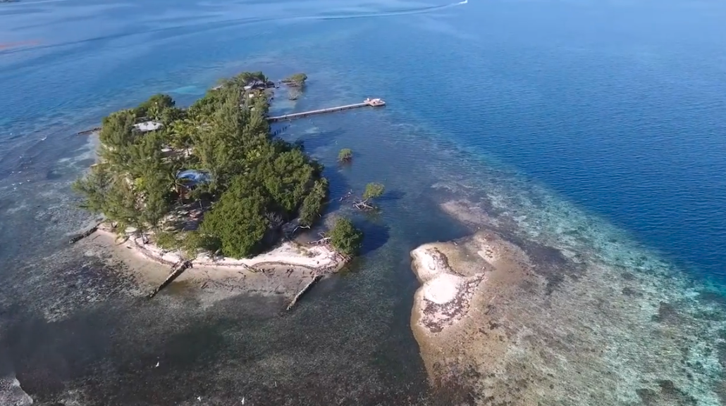 Francis Ford Coppola parting with Belize island retreat to offset ...